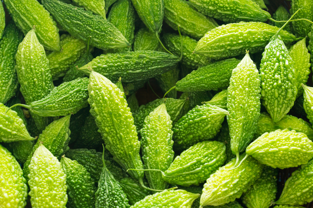 Bitter Gourd What Are The Benefits Of This Bitter Sour Bitter Gourd What Are The Benefits Of This Bitter Sour